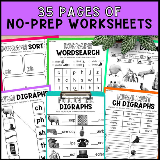 Beginning Digraphs with Real Images – Adapted Books and Worksheets