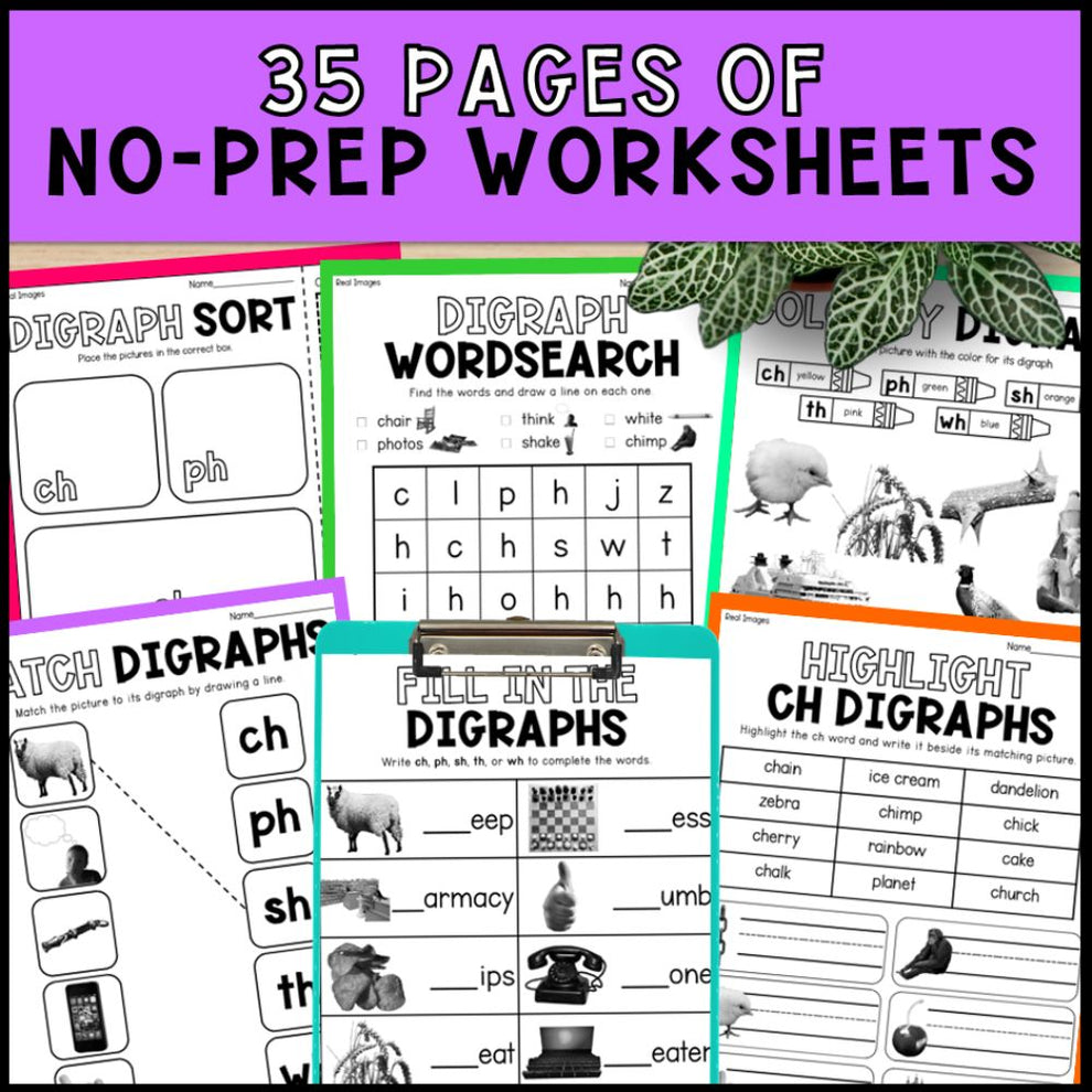 Beginning Digraphs with Real Images – Adapted Books and Worksheets