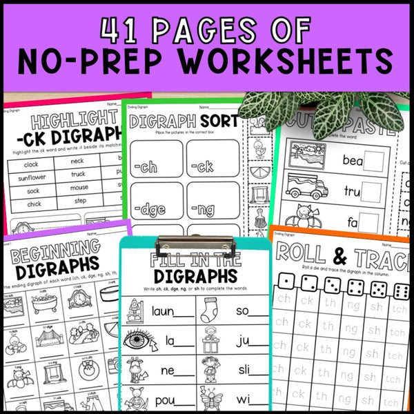 Ending Digraphs – Adapted Books, No Prep Worksheets and Task Cards