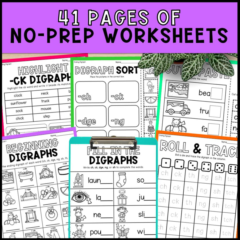 Ending Digraphs – Adapted Books, No Prep Worksheets and Task Cards