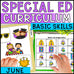 June Basic Concepts Worksheets for Special Education: ELA and Math