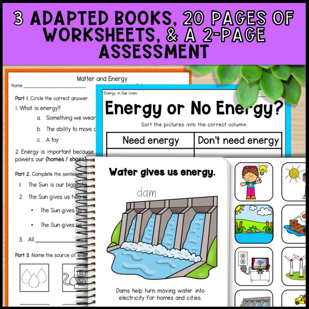 Matter & Energy Sources Grade 1 Adapted Science - Special Education