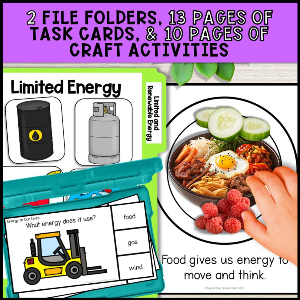 Matter & Energy Sources Grade 1 Adapted Science - Special Education