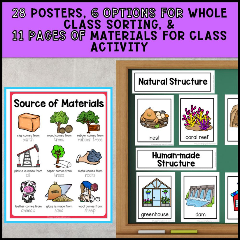 Structures & Materials Grade 1 Adapted Science - Special Education